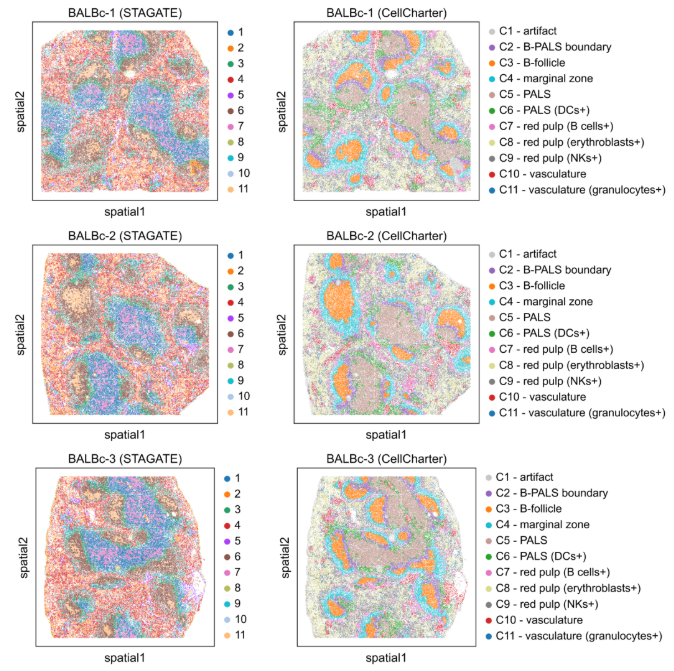CellCharter分析 | 支持中心